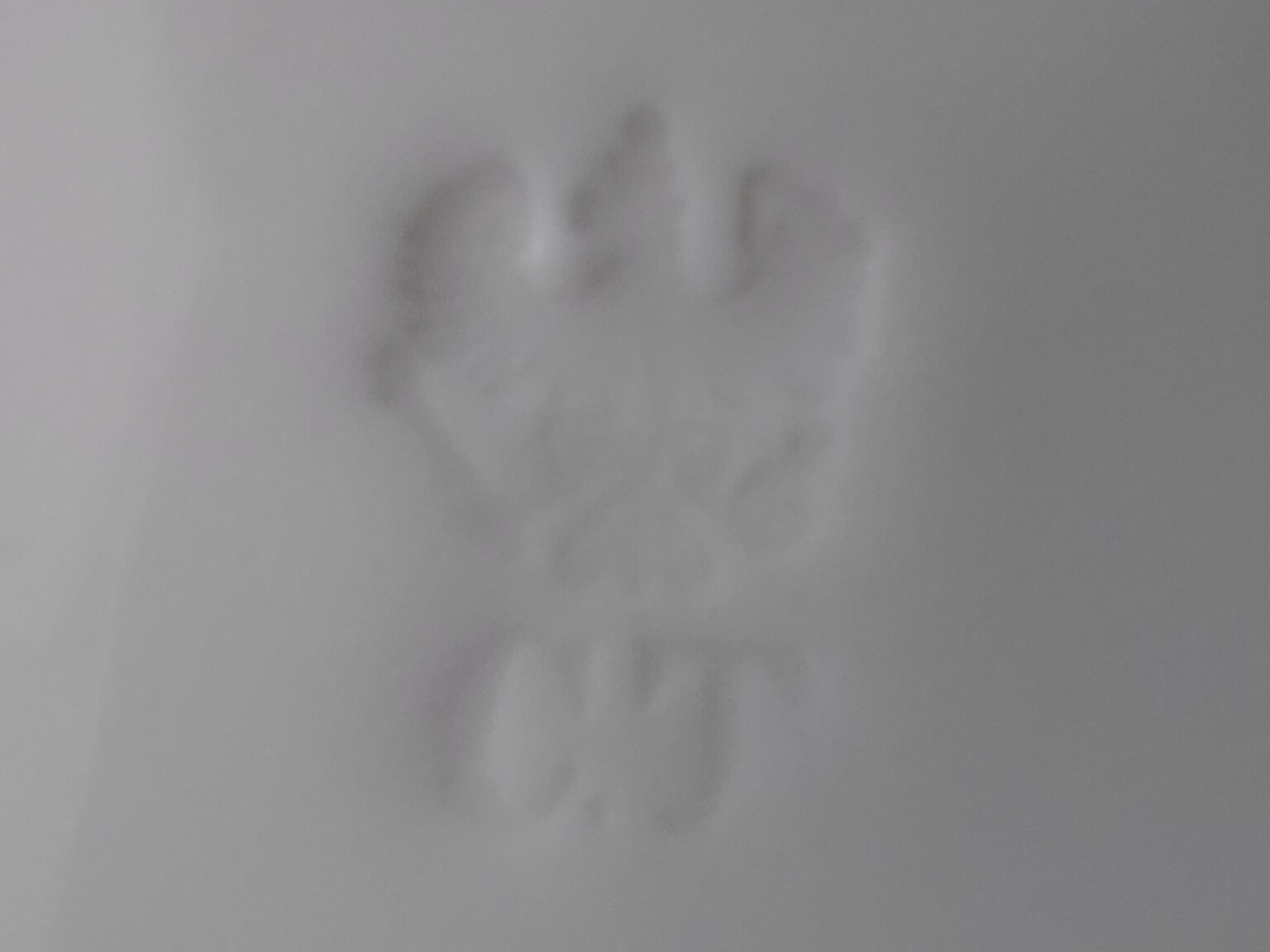 Porcelain marks (signatures) – my porcelain